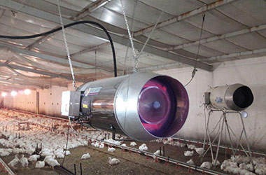 Home [en.tina-sanat.com]